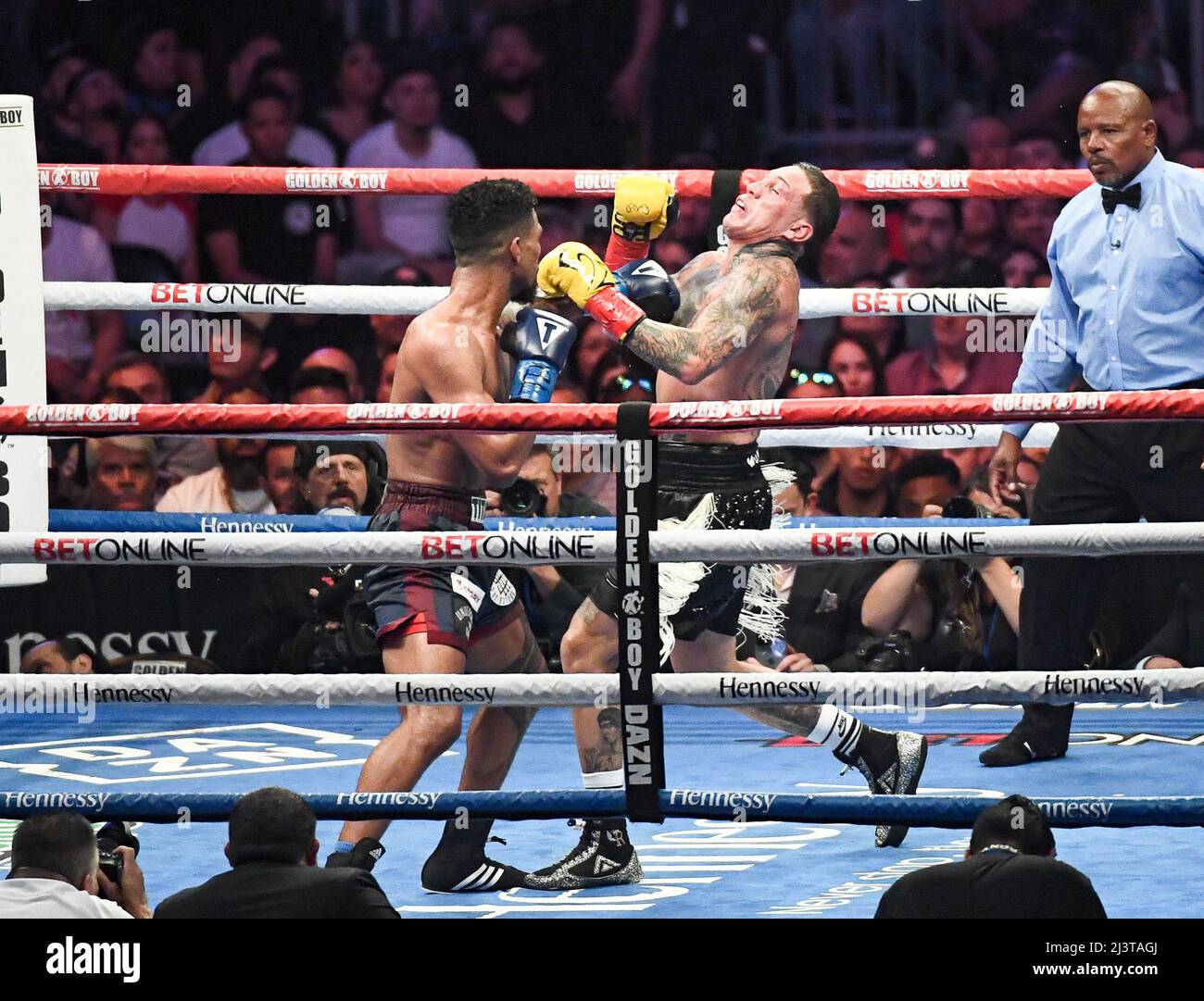 Shane mosley jr hi-res stock photography and images - Alamy