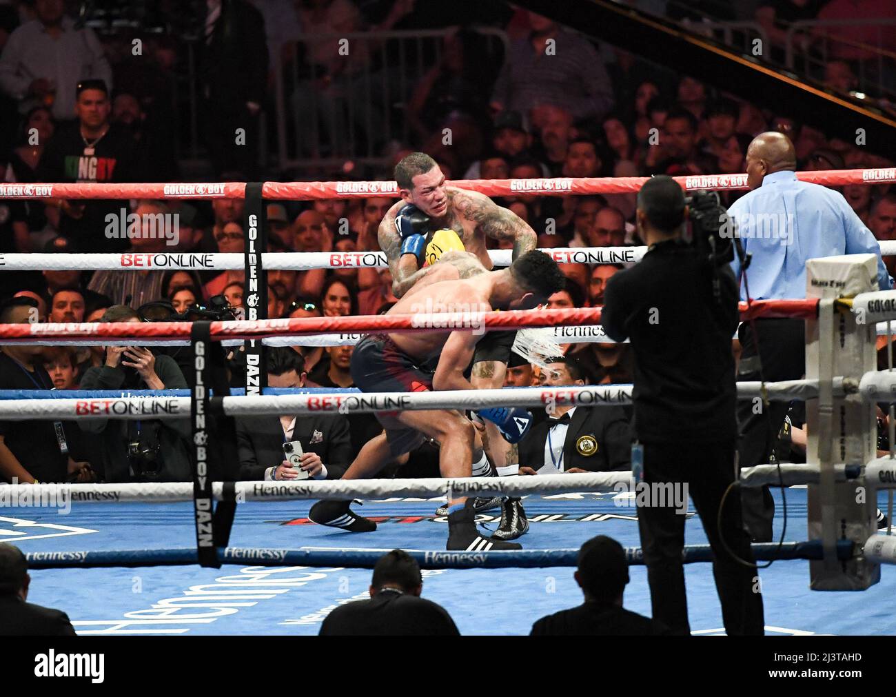 Shane mosley jr hi-res stock photography and images - Alamy