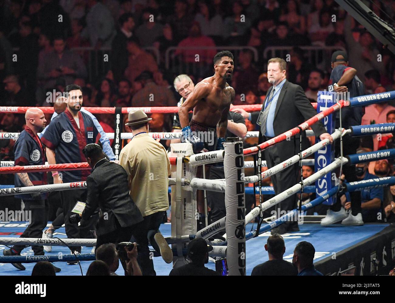 Shane mosley jr hi-res stock photography and images - Alamy