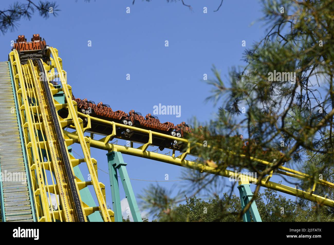 rollercoaster "flying tiger" in the safari park in schloss holte ...