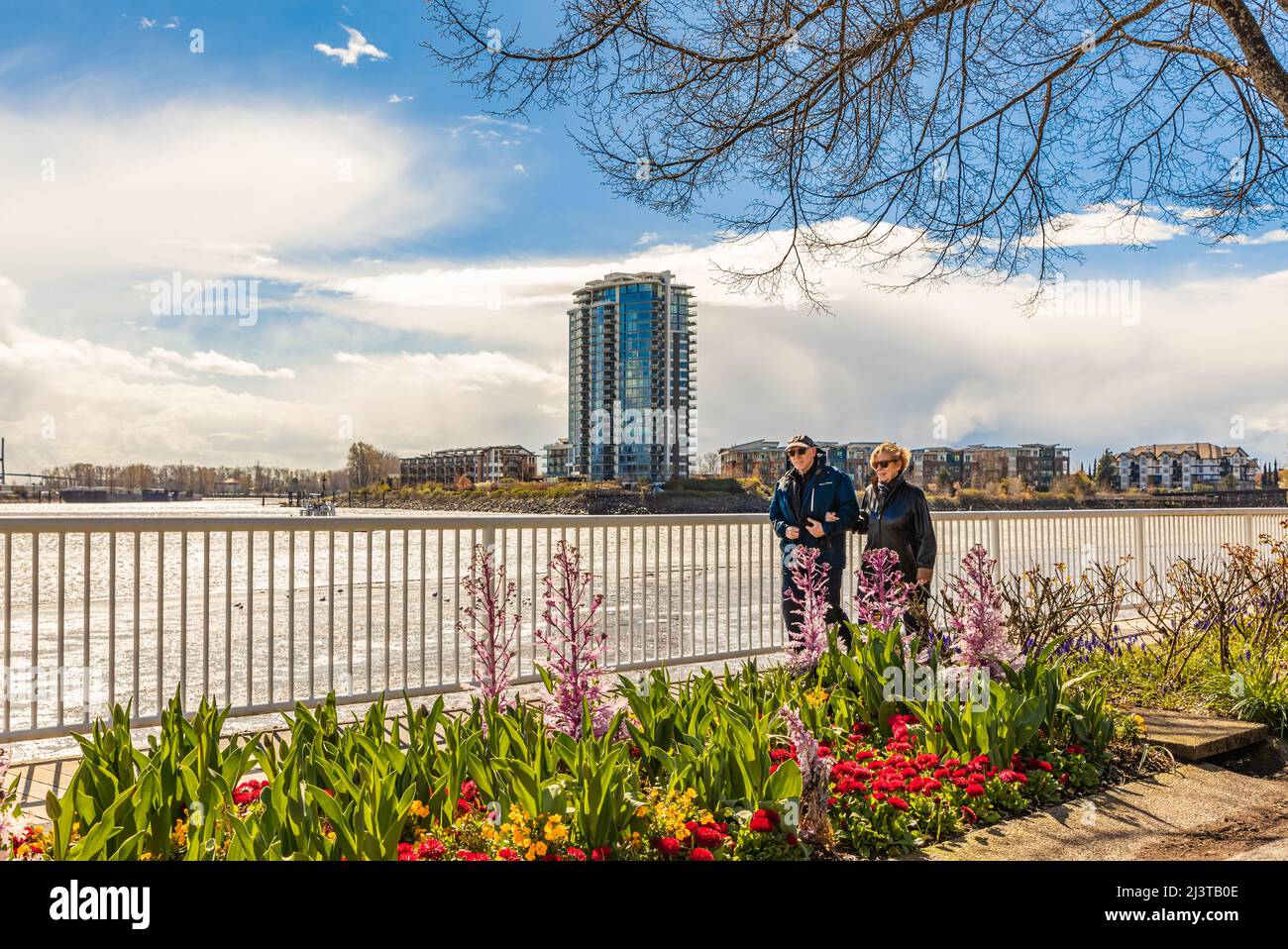 Art deco nature trail hi-res stock photography and images - Alamy
