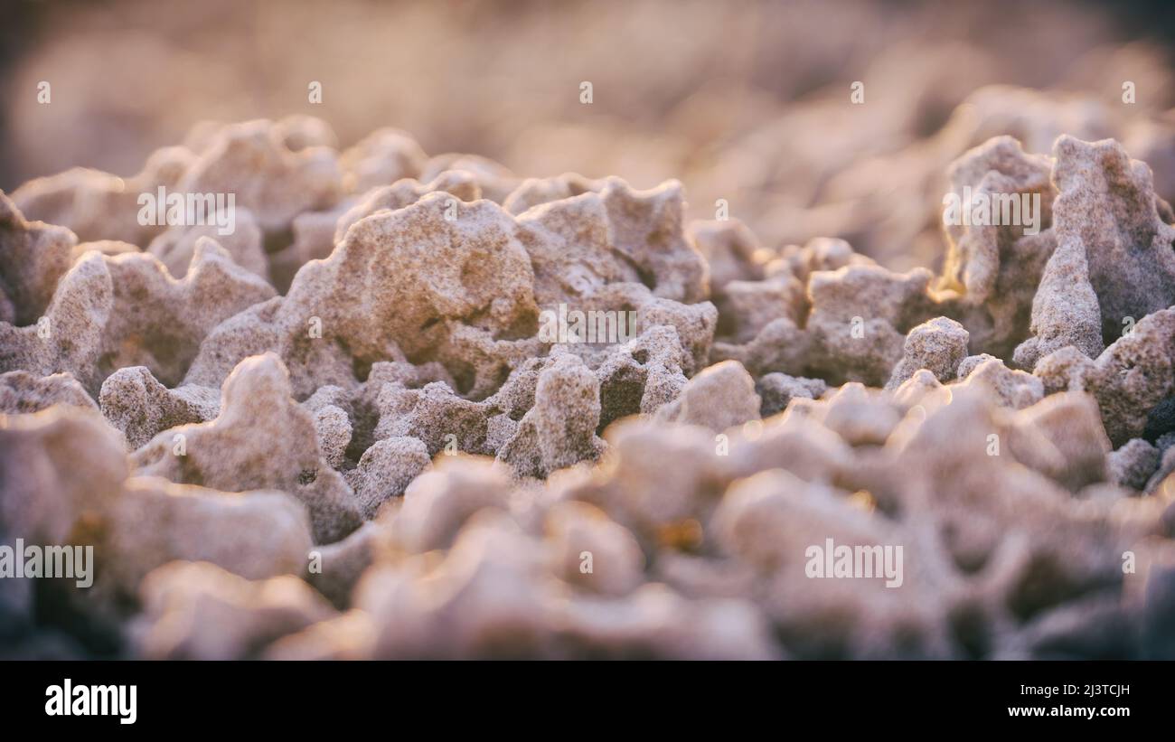 Spongy sea rock hi-res stock photography and images - Alamy