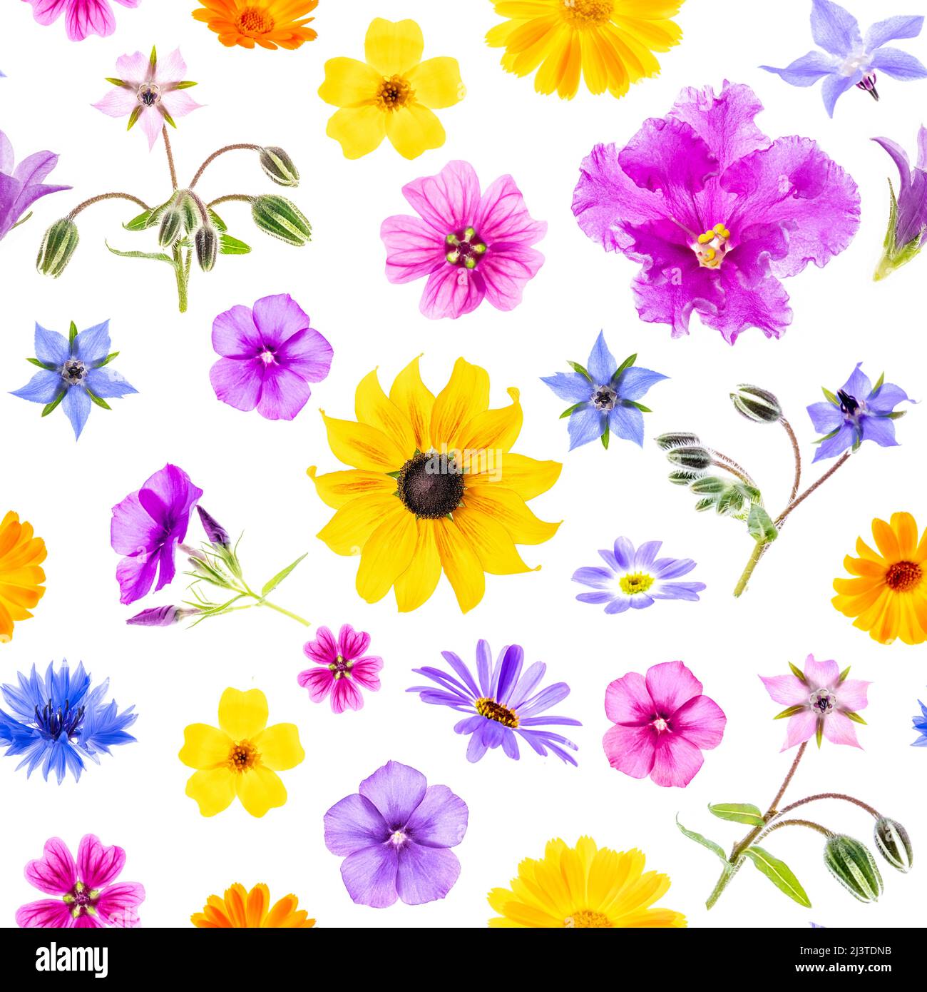 Bright Colored Flower Backgrounds