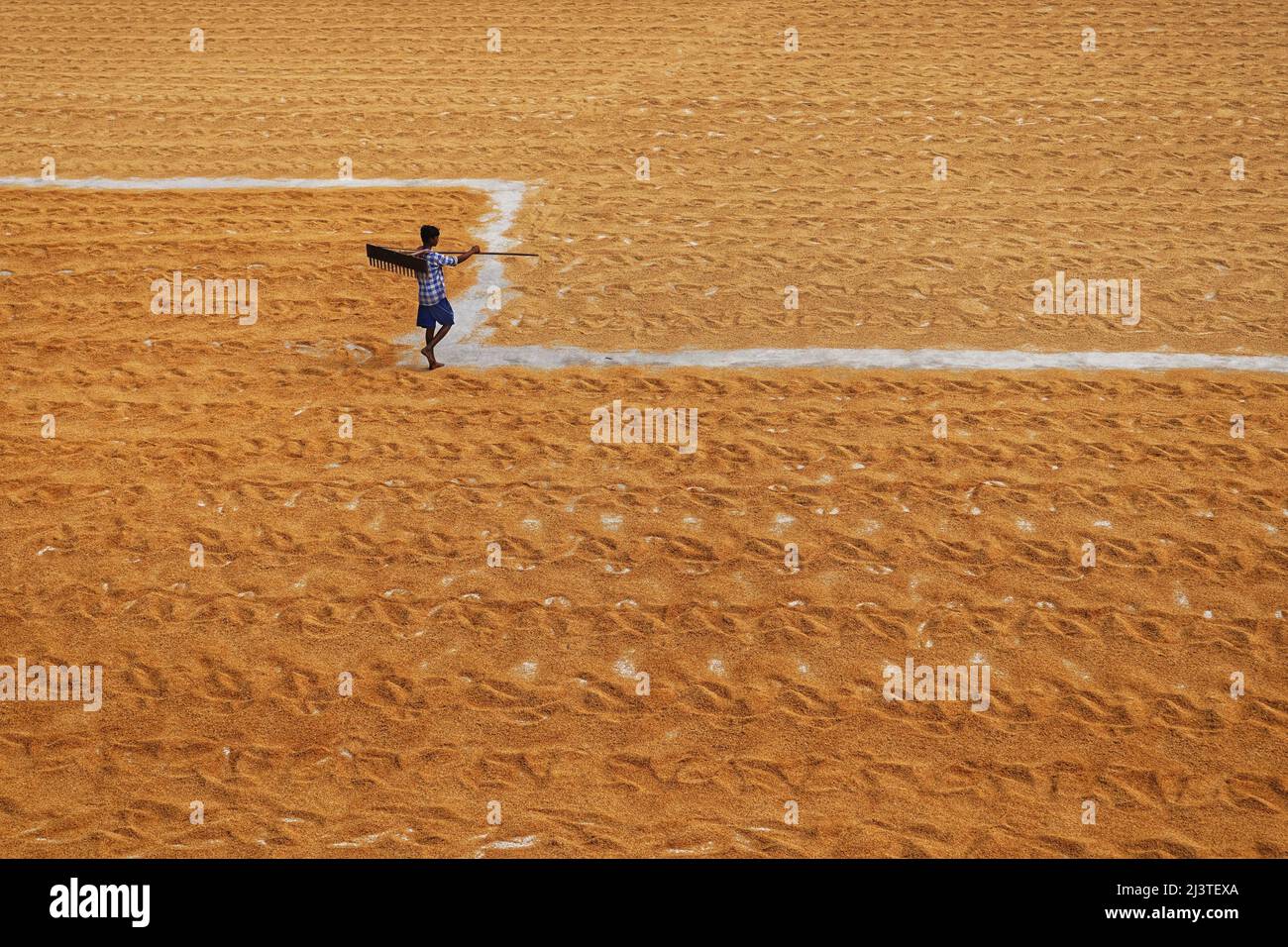 Golden point hi-res stock photography and images - Alamy