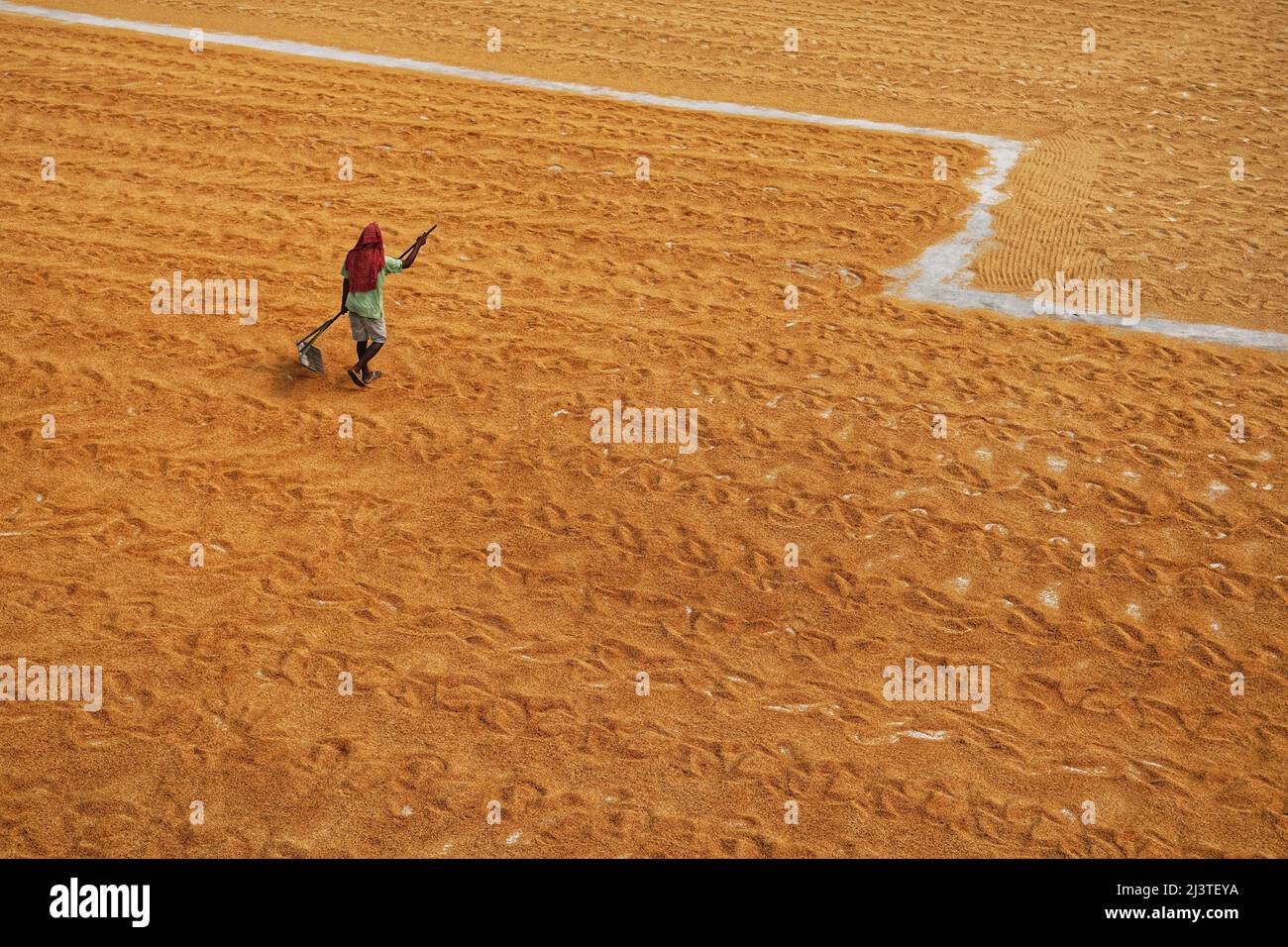 Rice mill india hi-res stock photography and images - Alamy