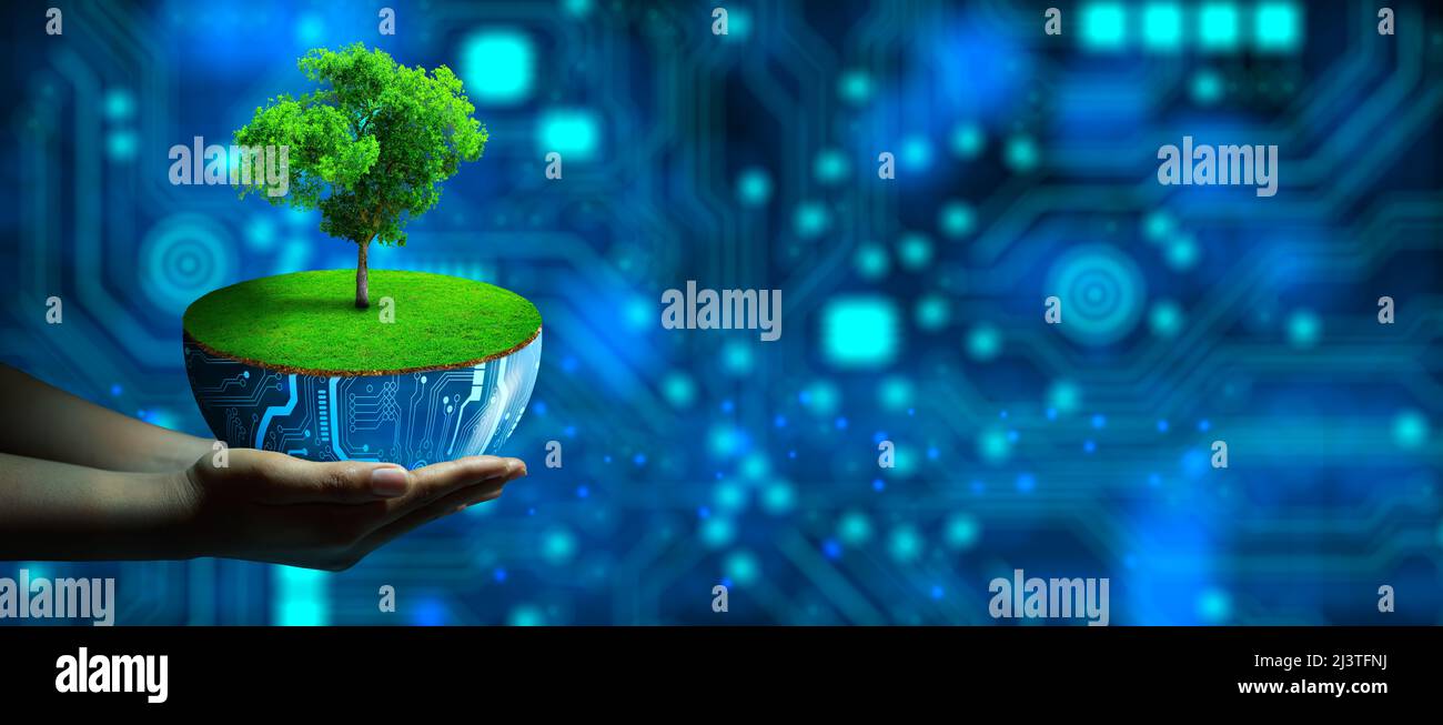 Hand holding digital plant pot with Tree growing on. Eco Technology and ...