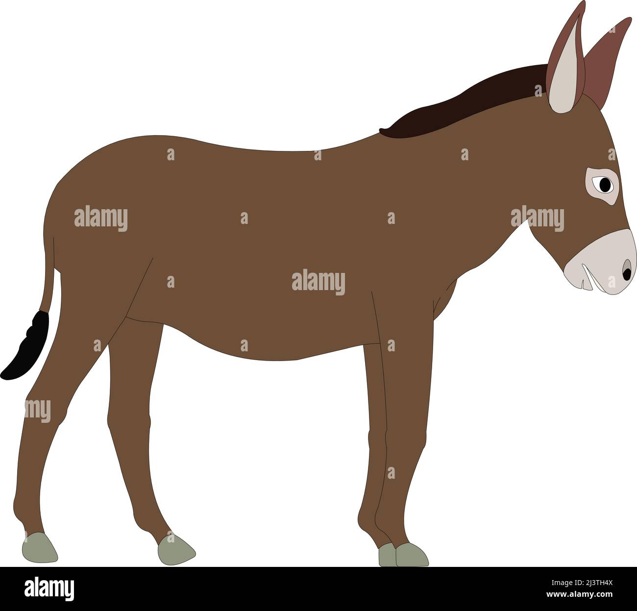 Donkey cartoon side pose vector art Stock Vector Image & Art - Alamy