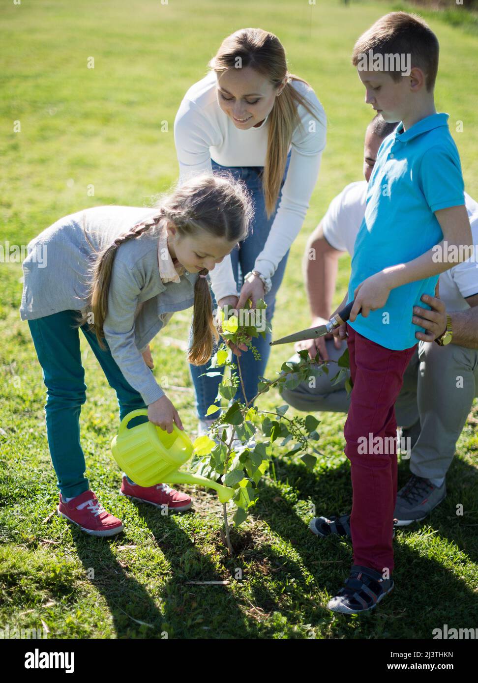Family parents and children planting tree sapling in summer park Stock ...