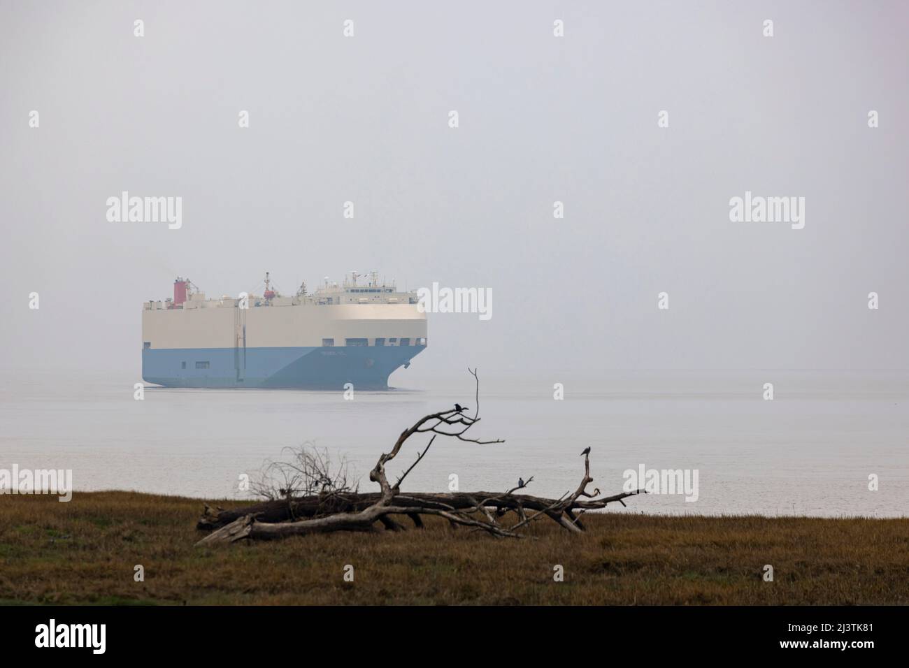 Royal portbury docks hi-res stock photography and images - Alamy
