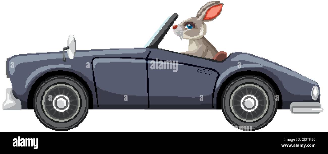 A rabbit in classic car on white background illustration Stock Vector ...