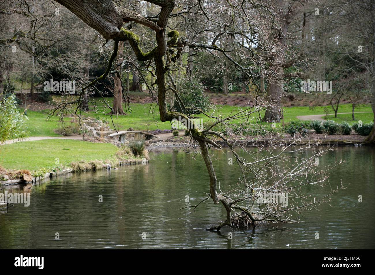 Dip in the water hi-res stock photography and images - Alamy