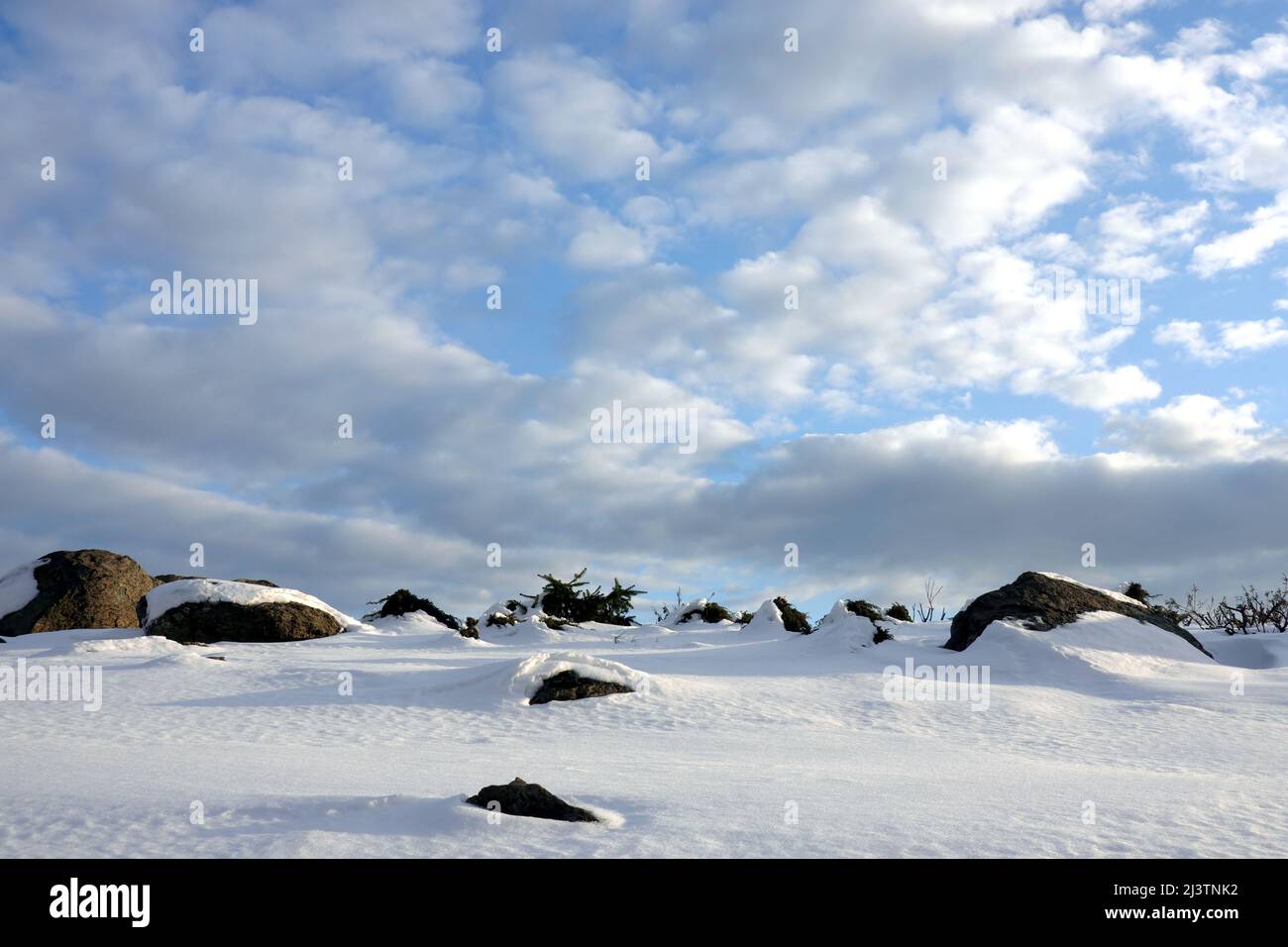Winter tundra landscape with hilly snowy surface with stones and large ...