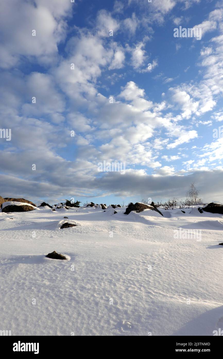 Winter tundra landscape with hilly snowy surface with stones and large ...