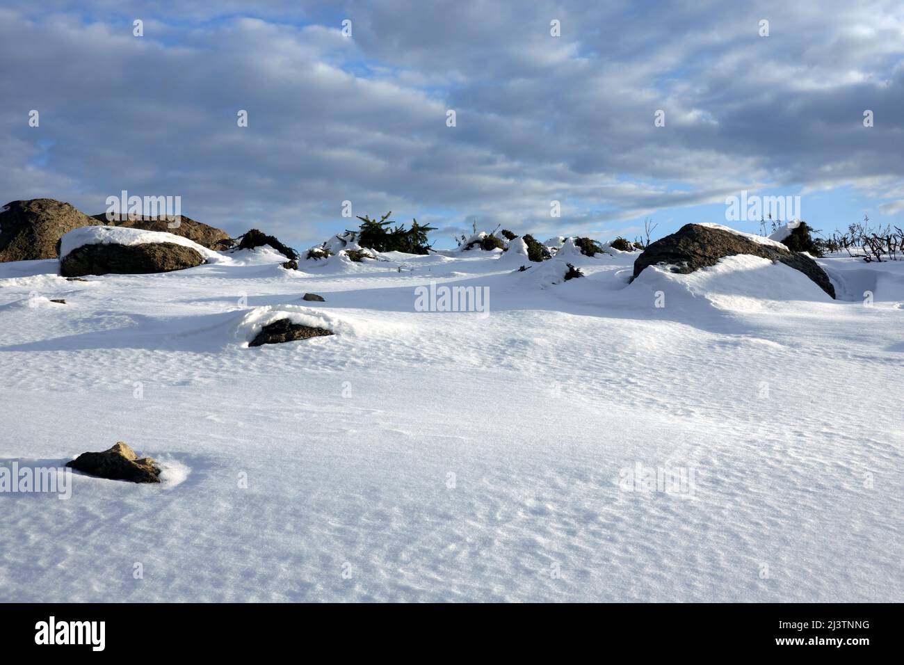 Winter tundra landscape with hilly snowy surface with stones and large ...
