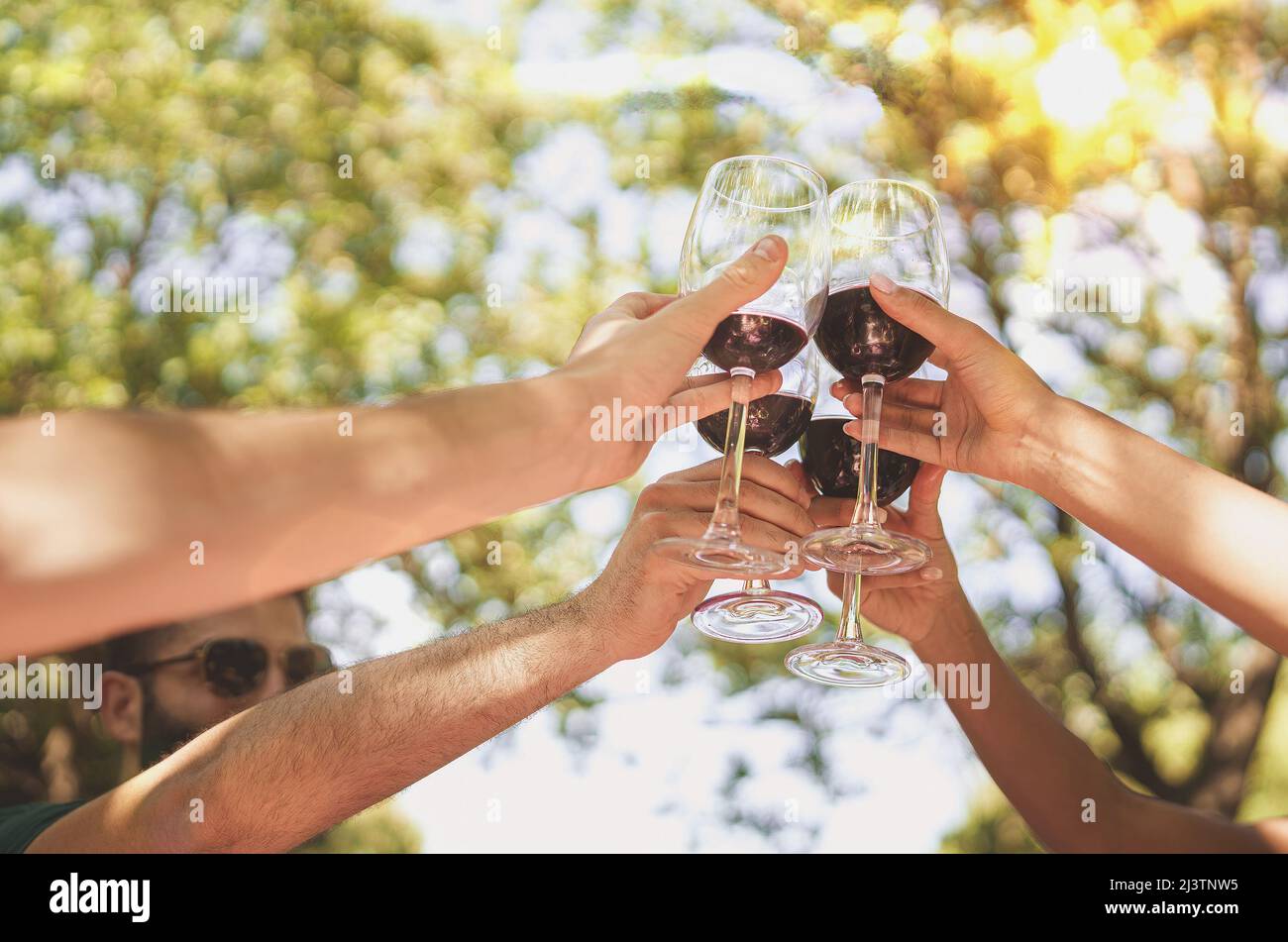 Celebrating anniversary red wine hi-res stock photography and images ...