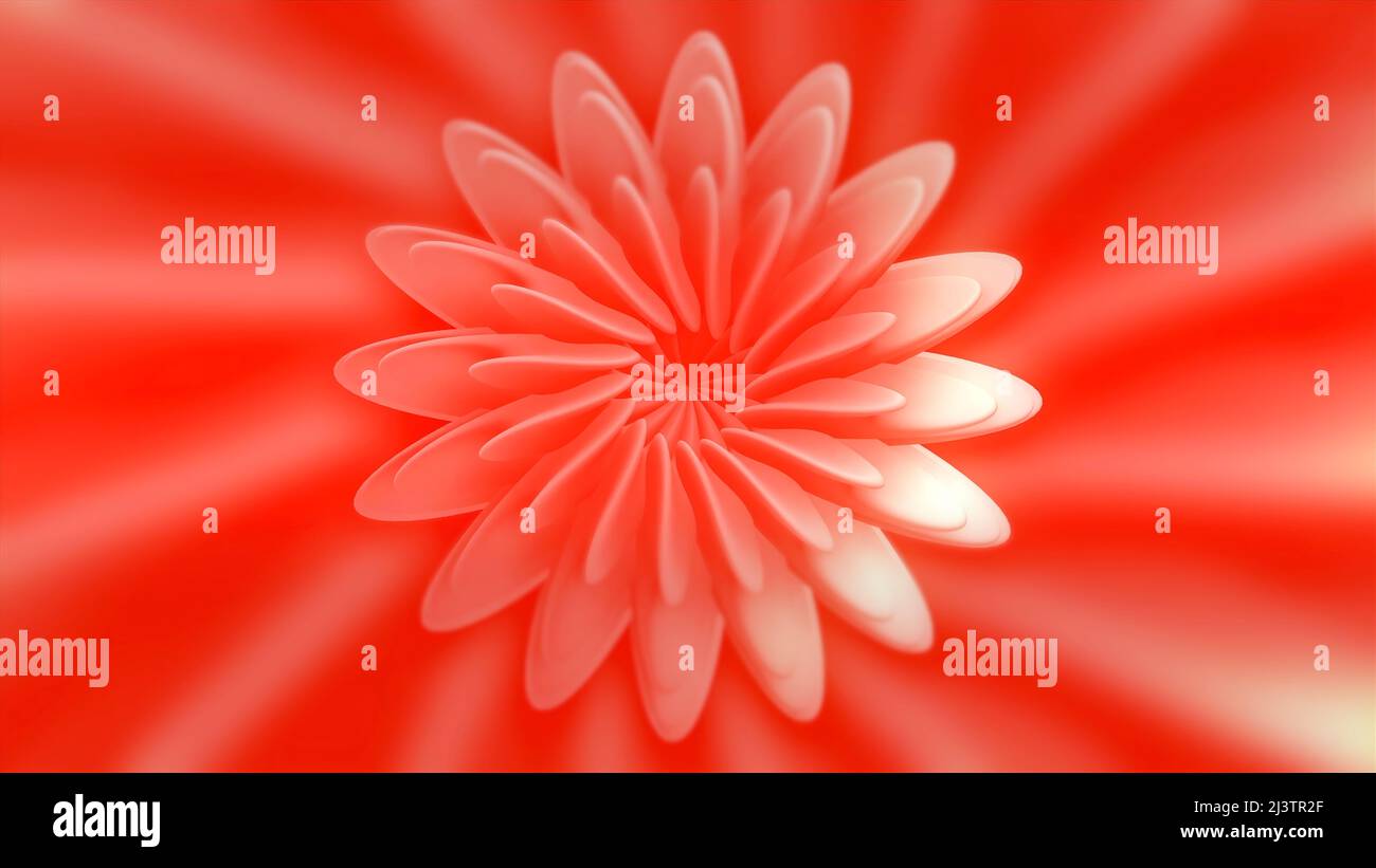 Rotating Flower Pattern. Motion. Beautiful 3d flower rotates and ...