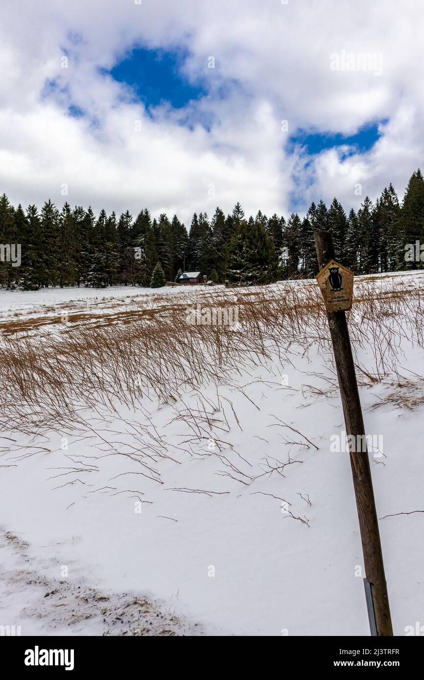 Hike to the mountain rescue hut in the Thuringian Forest near Steinbach ...