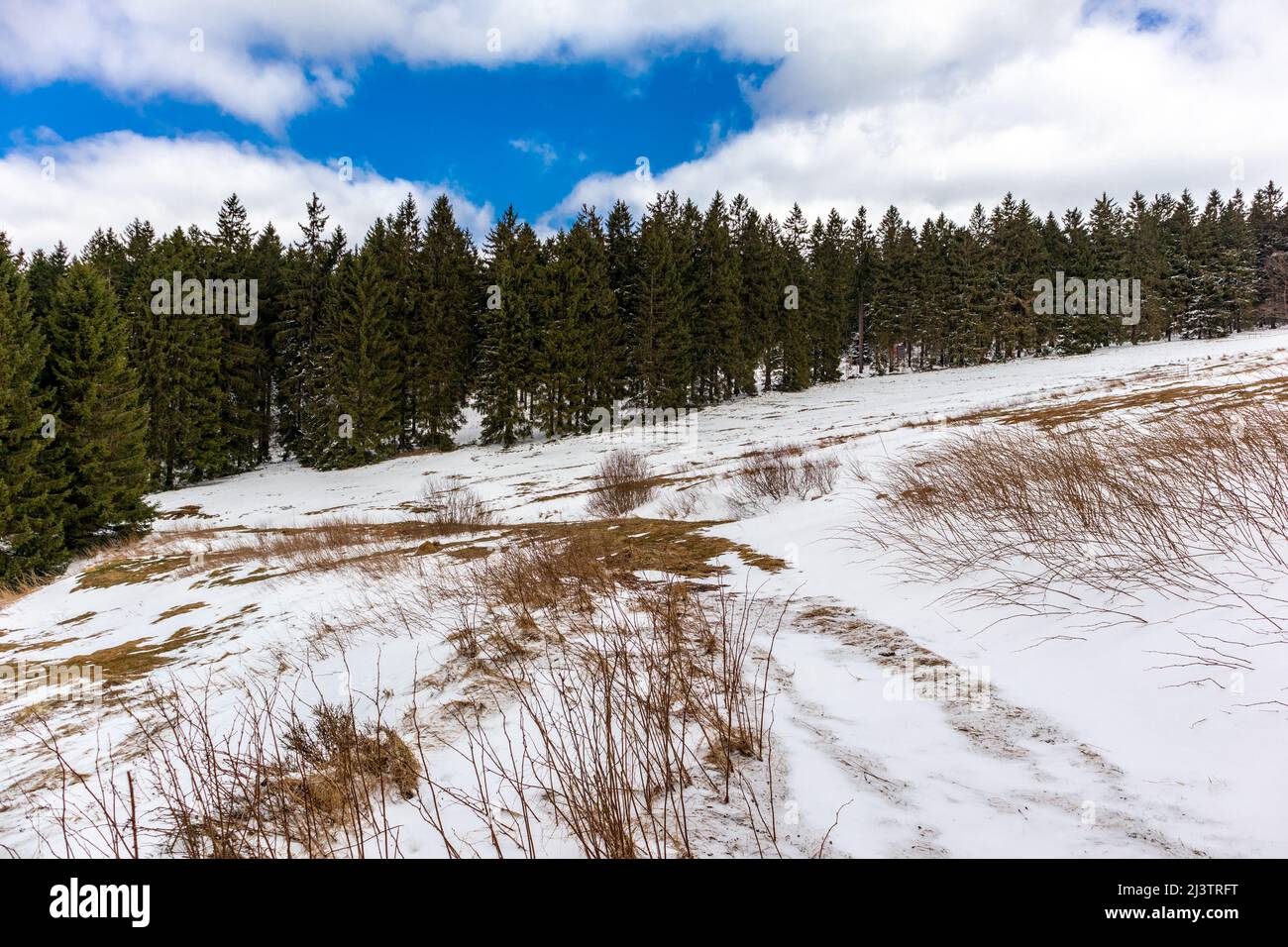 Hike to the mountain rescue hut in the Thuringian Forest near Steinbach ...