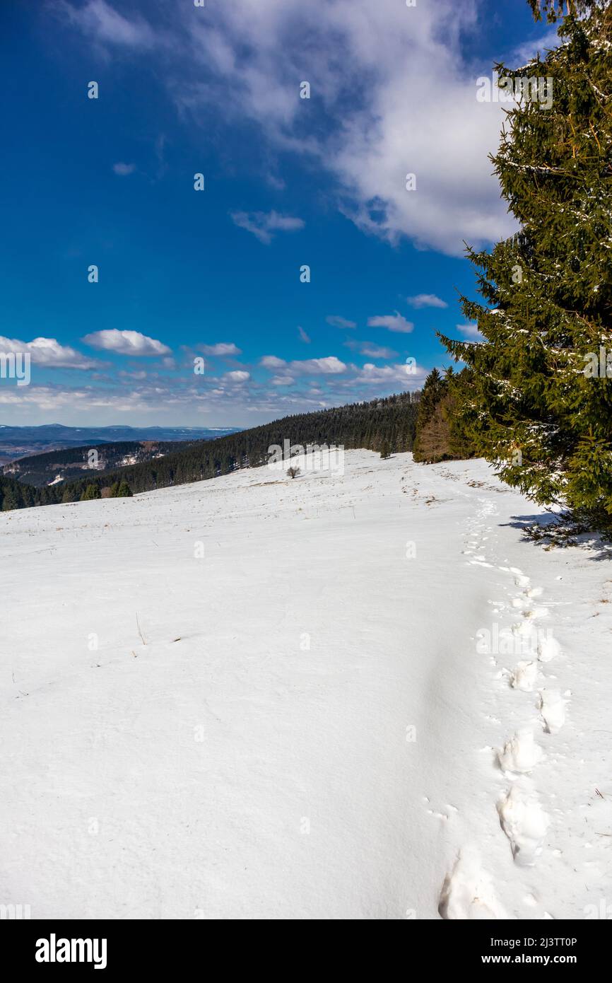 Hike to the mountain rescue hut in the Thuringian Forest near Steinbach ...