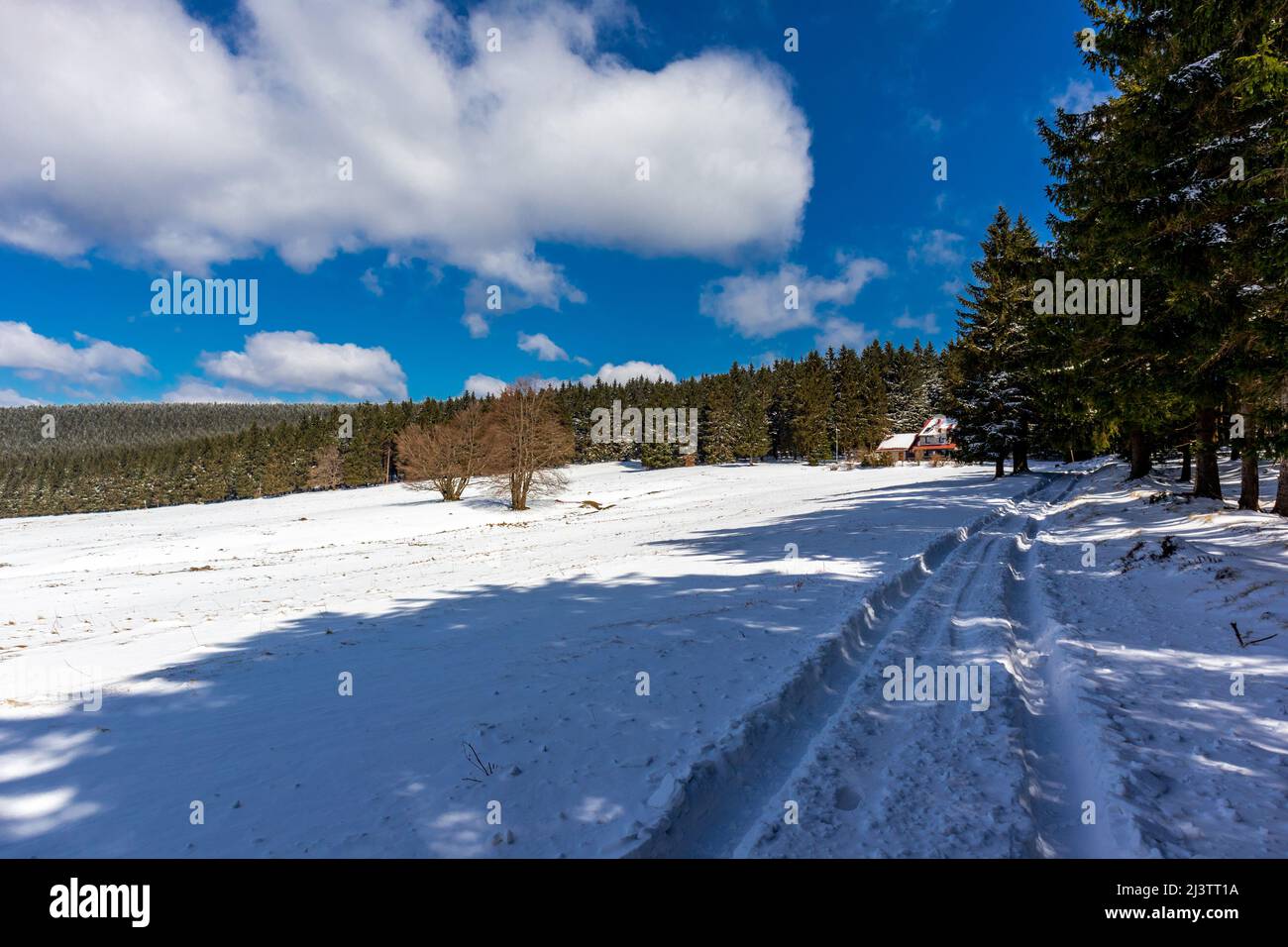 Hike to the mountain rescue hut in the Thuringian Forest near Steinbach ...