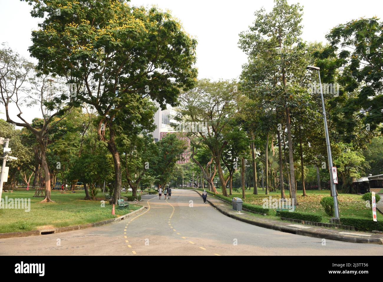 April 09, 2022 : Lumpini Park Thailand, a public park in the heart of ...