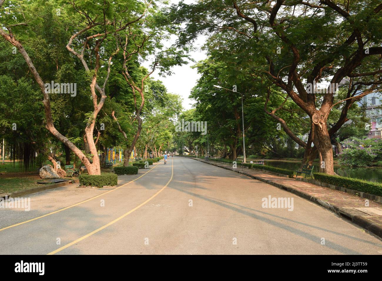 April 09, 2022 : Lumpini Park Thailand, a public park in the heart of ...