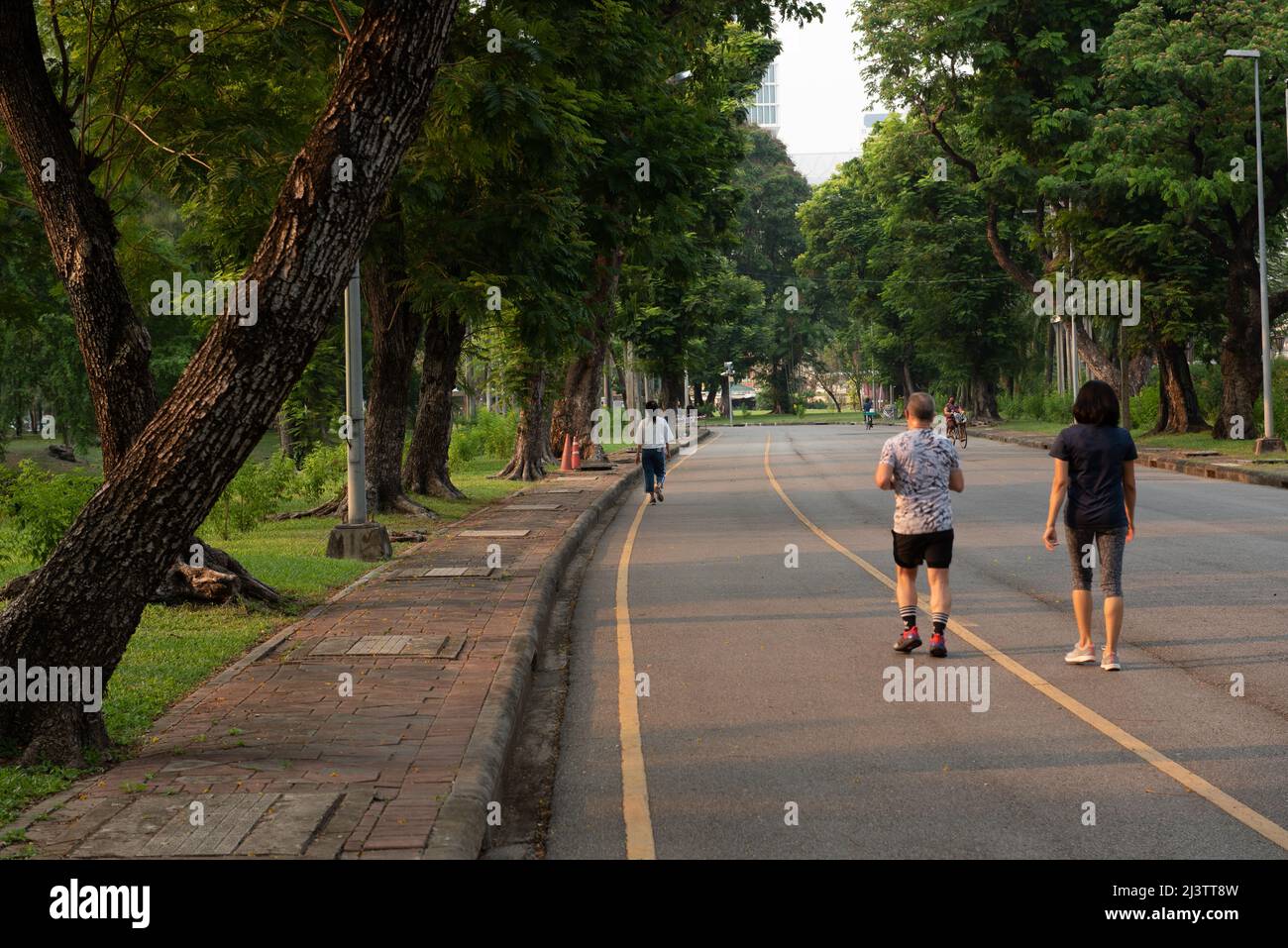 April 09, 2022 : Lumpini Park Thailand, a public park in the heart of ...