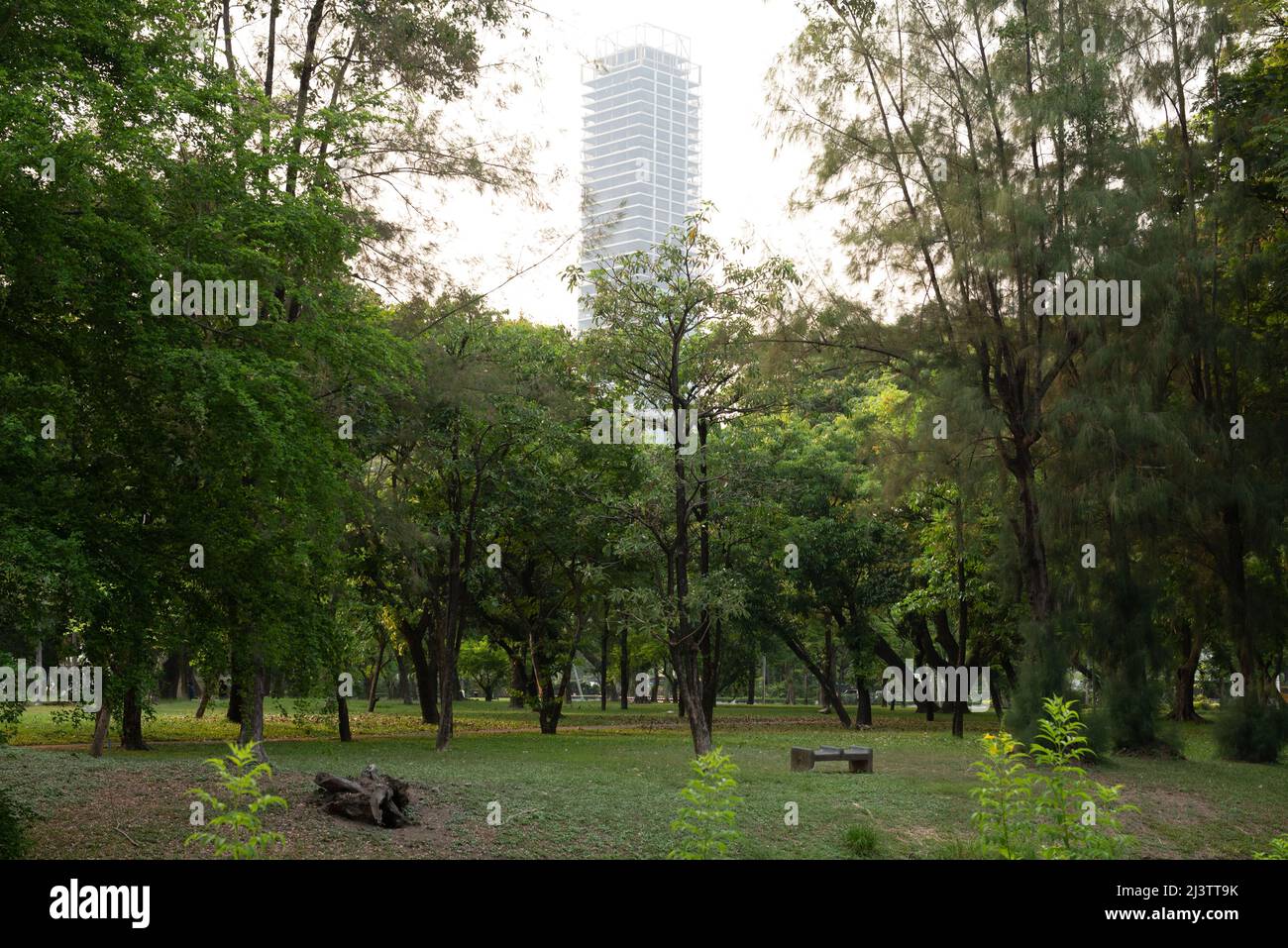 April 09, 2022 : Lumpini Park Thailand, a public park in the heart of ...