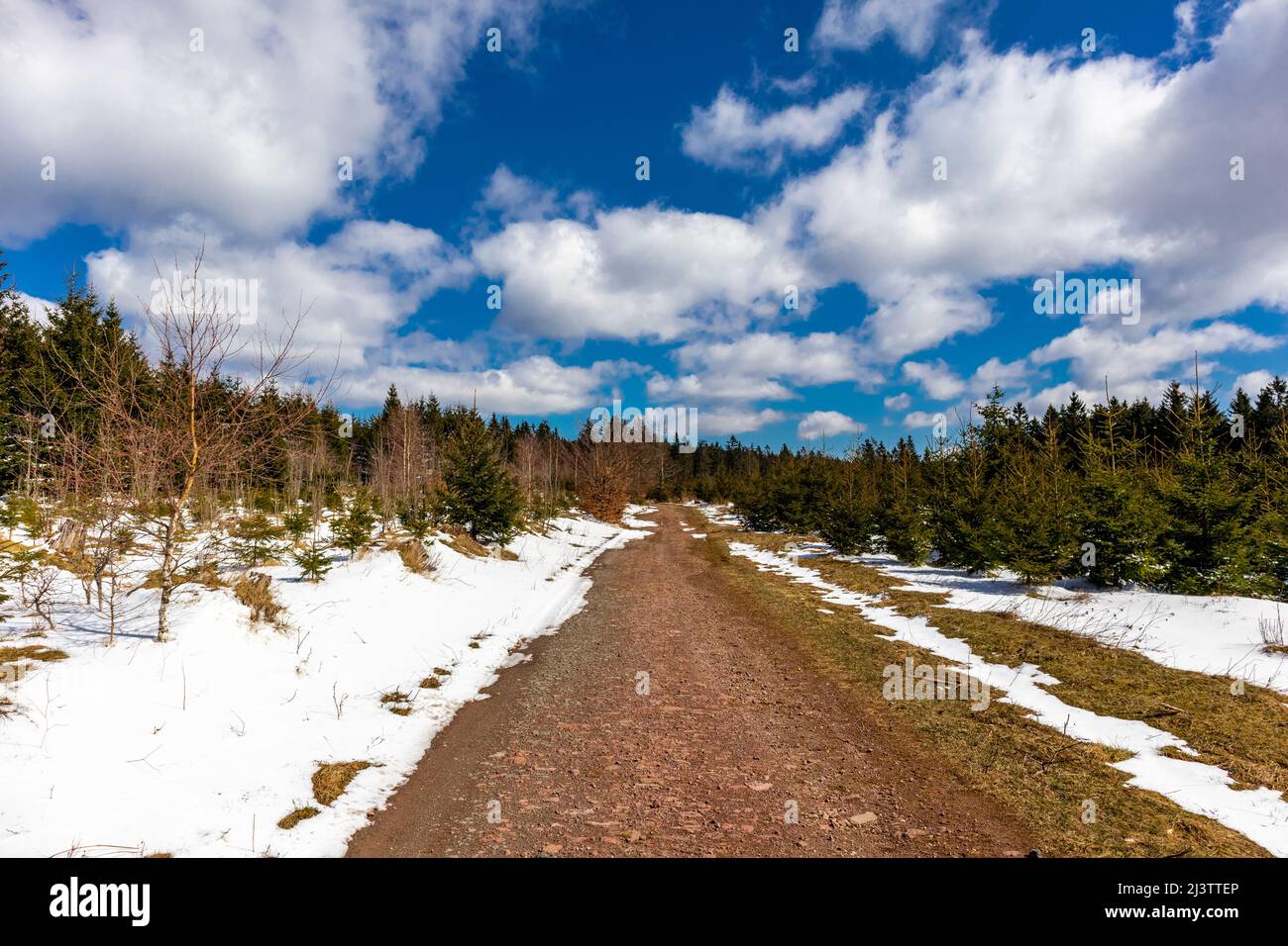 Hike to the mountain rescue hut in the Thuringian Forest near Steinbach ...