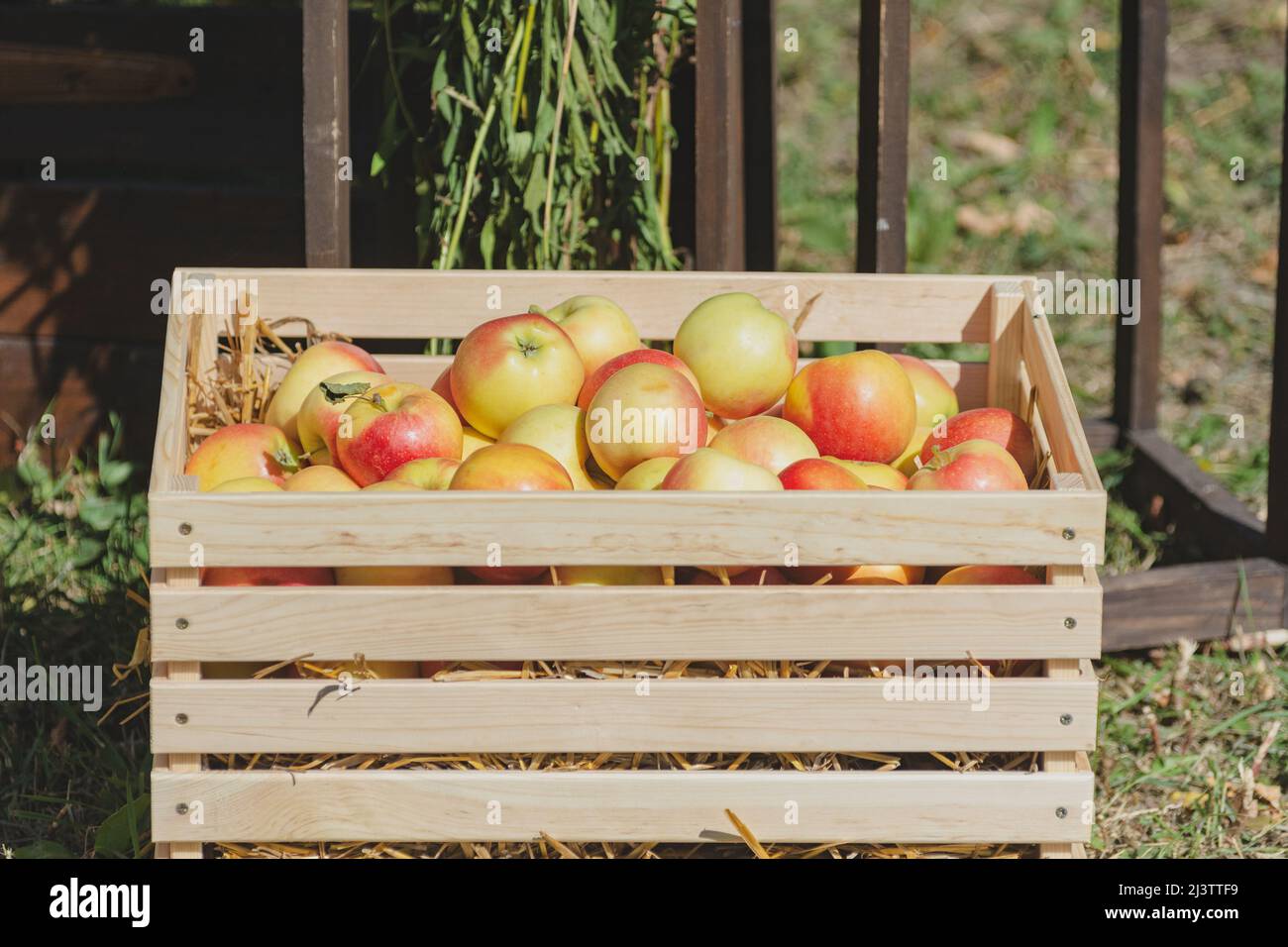 Apples rustic storage hi-res stock photography and images - Alamy