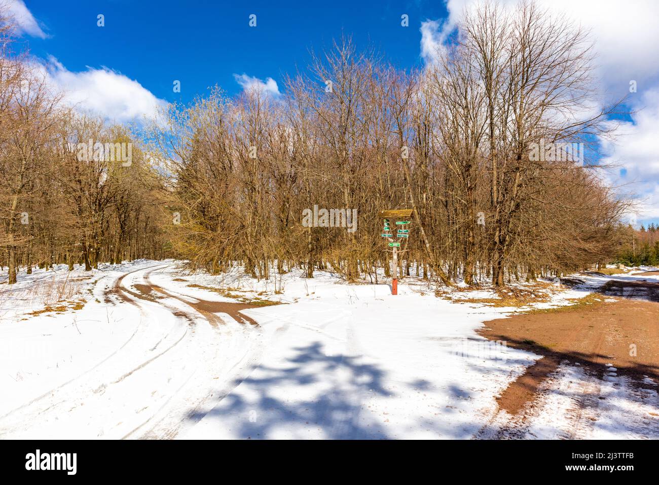 Hike to the mountain rescue hut in the Thuringian Forest near Steinbach ...