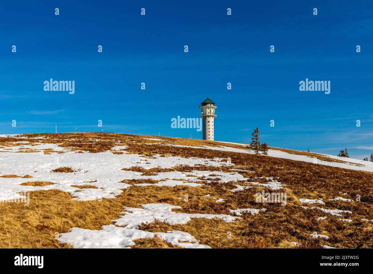 Discovery tour of the Feldberg in the Black Forest - Baden-Württemberg ...