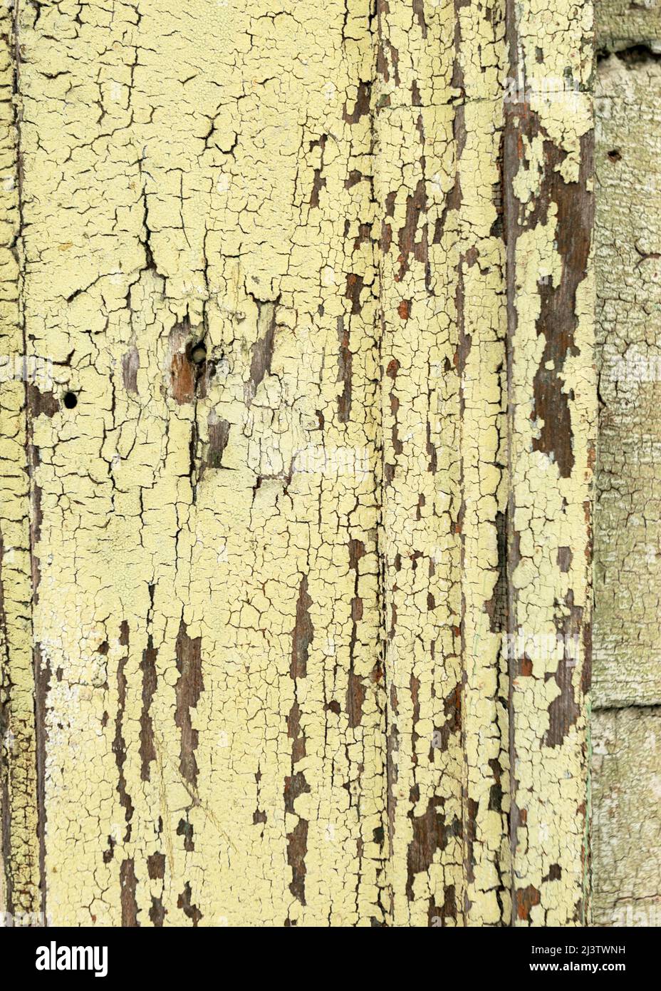 abstract image with old color texture on old wooden board wall ...