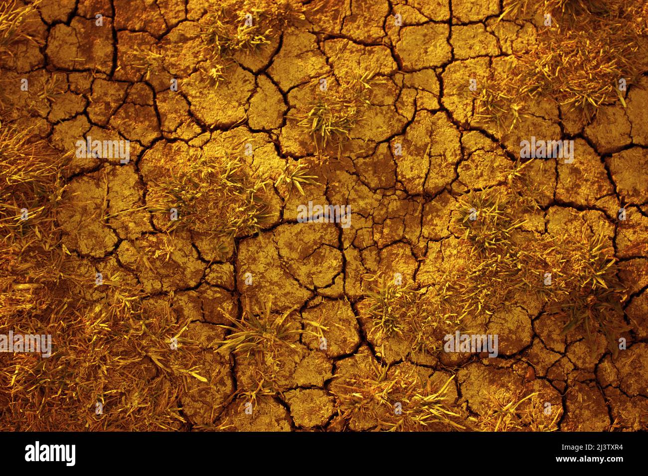 Cracked ground close up. Drought Stock Photo - Alamy
