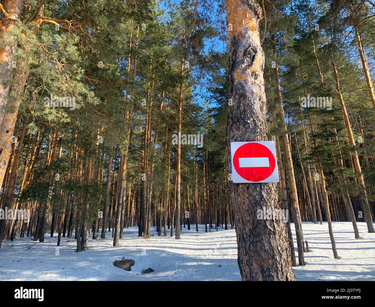 No entry sign on the tree in a forest Stock Photo - Alamy