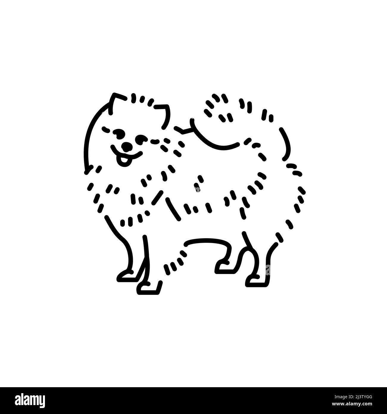 The pomeranian dog Black and White Stock Photos & Images - Alamy