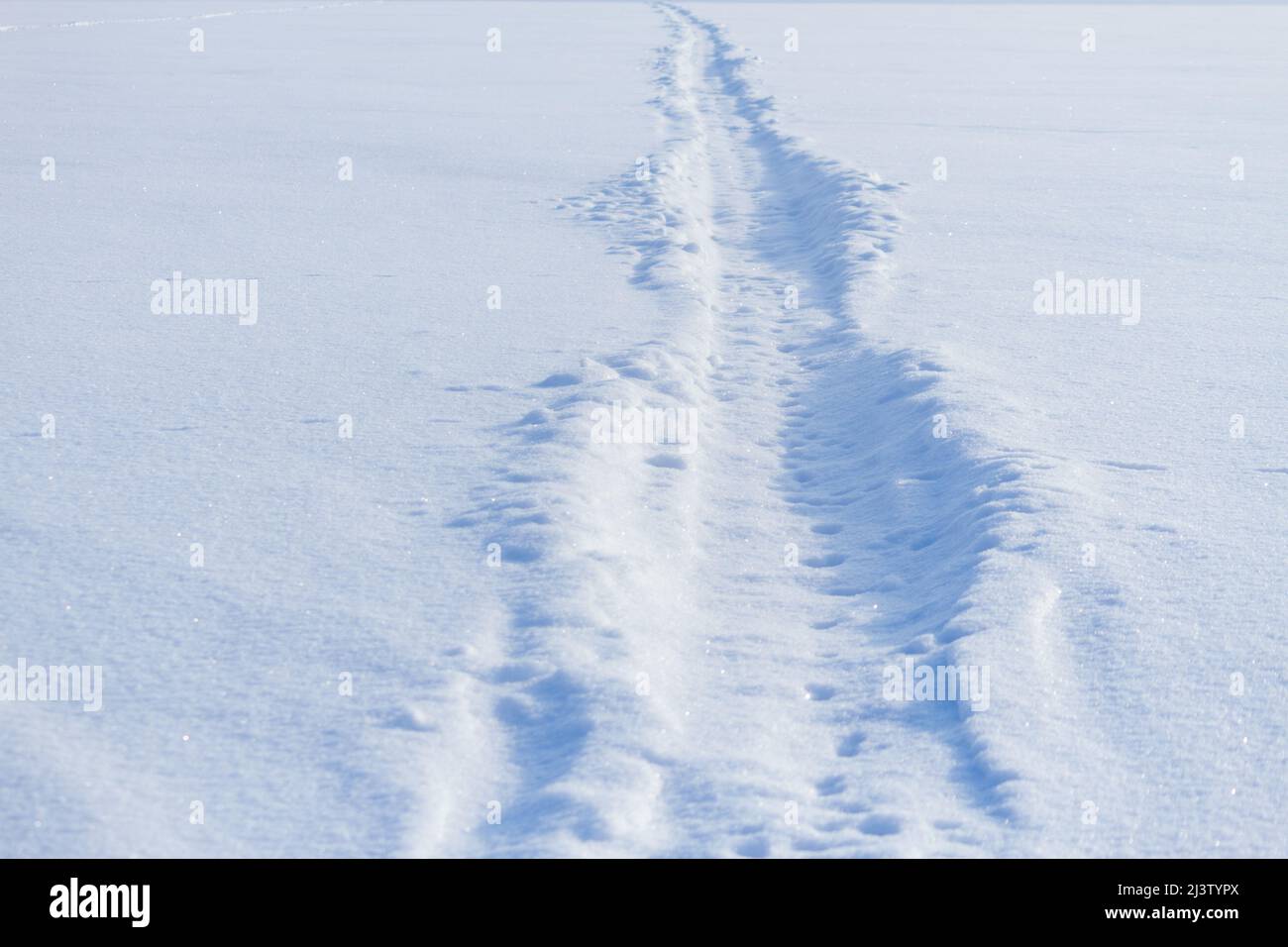 Snowmobile track marks on the snow of frozen river Stock Photo - Alamy