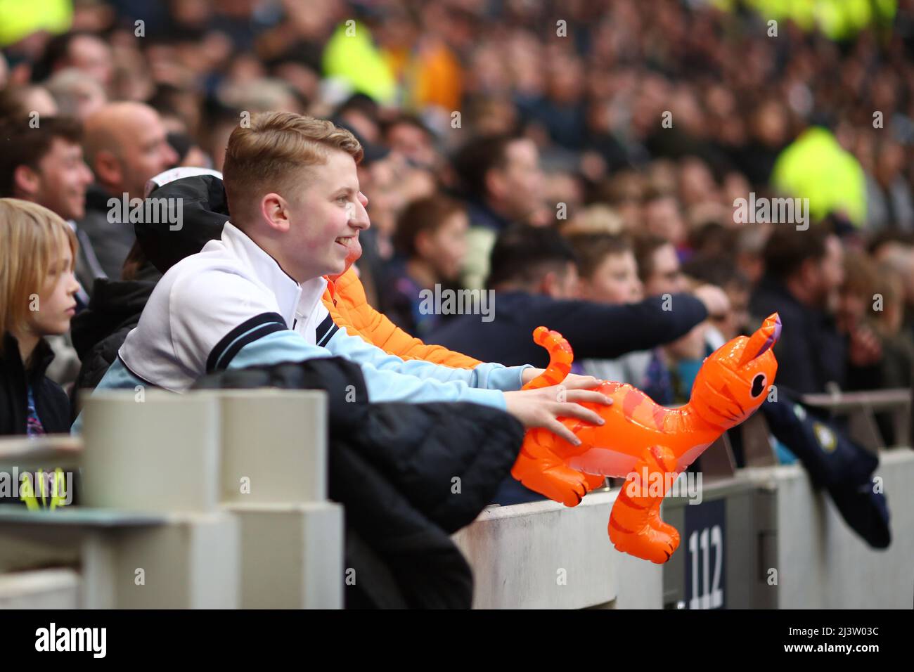 Kurt zouma cat hi-res stock photography and images - Alamy