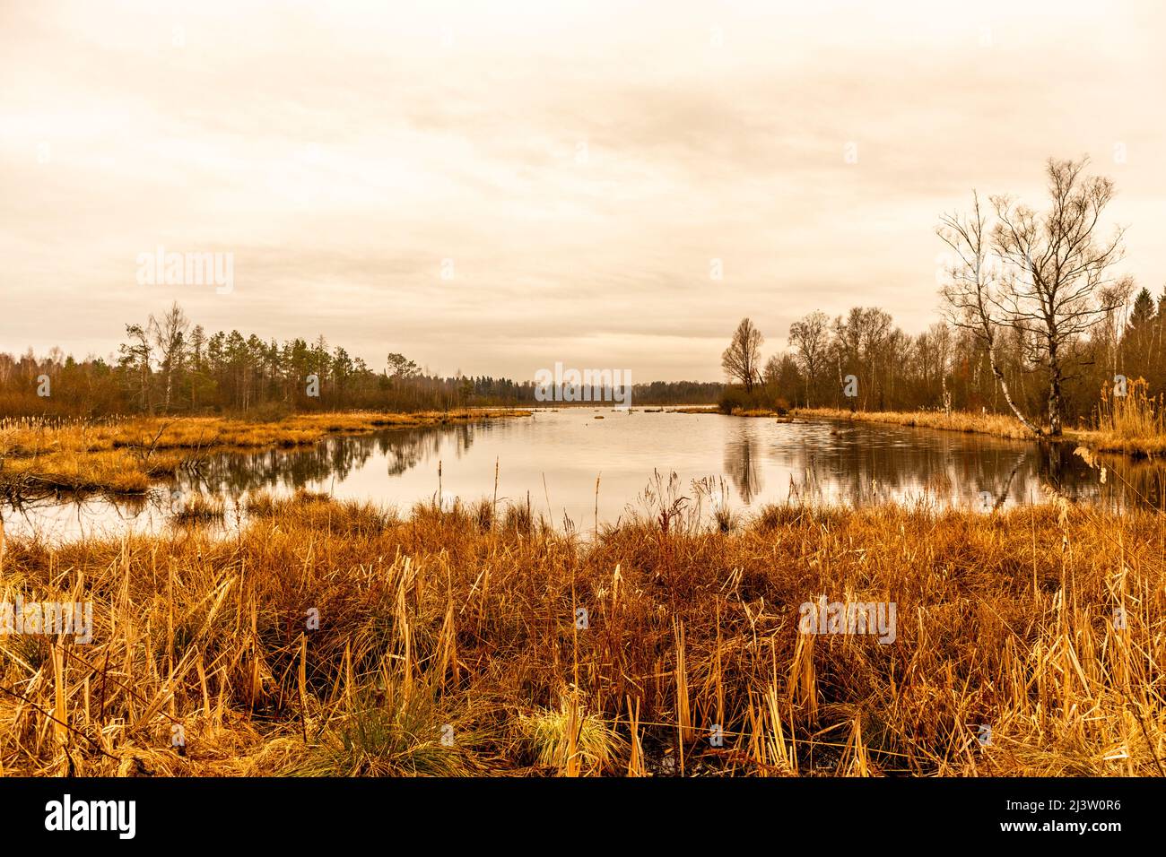 On the way at the Schwenninger Moos and its natural beauty - Baden ...
