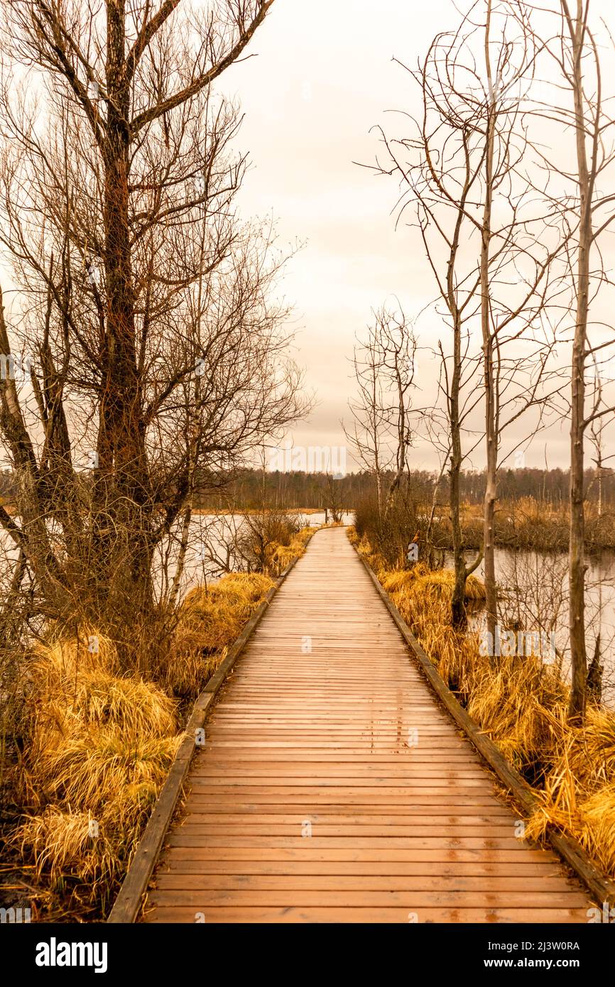 On the way at the Schwenninger Moos and its natural beauty - Baden ...