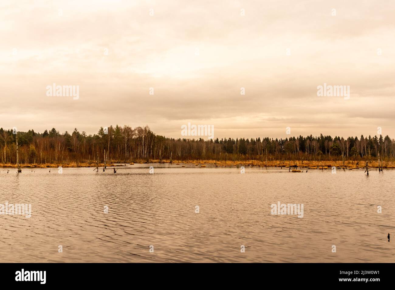 On the way at the Schwenninger Moos and its natural beauty - Baden ...