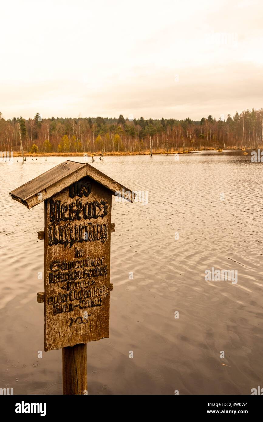 On the way at the Schwenninger Moos and its natural beauty - Baden ...