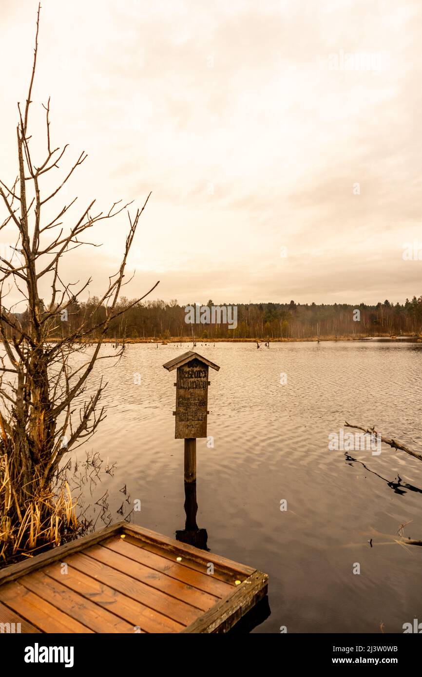 On the way at the Schwenninger Moos and its natural beauty - Baden ...