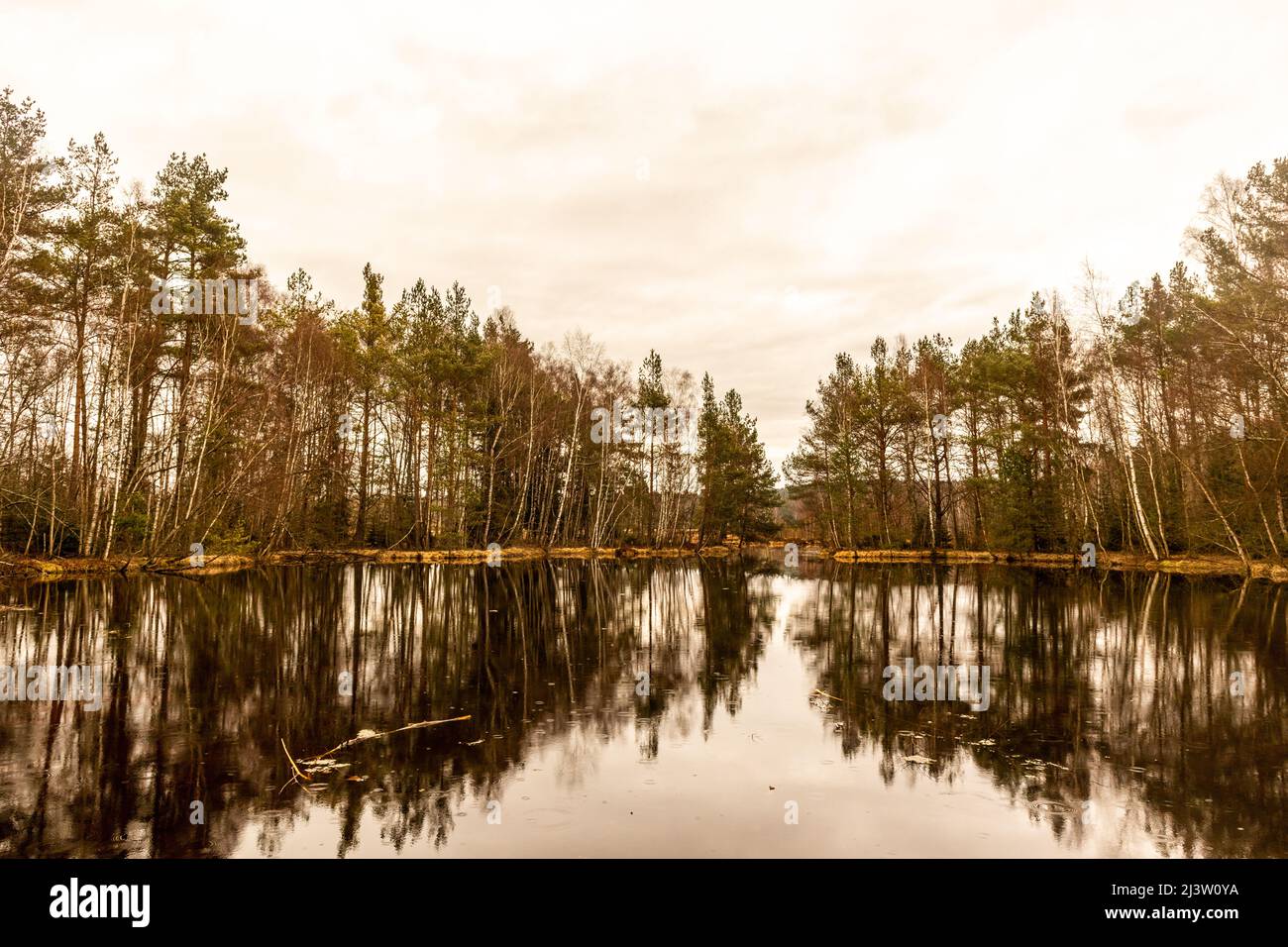 On the way at the Schwenninger Moos and its natural beauty - Baden ...