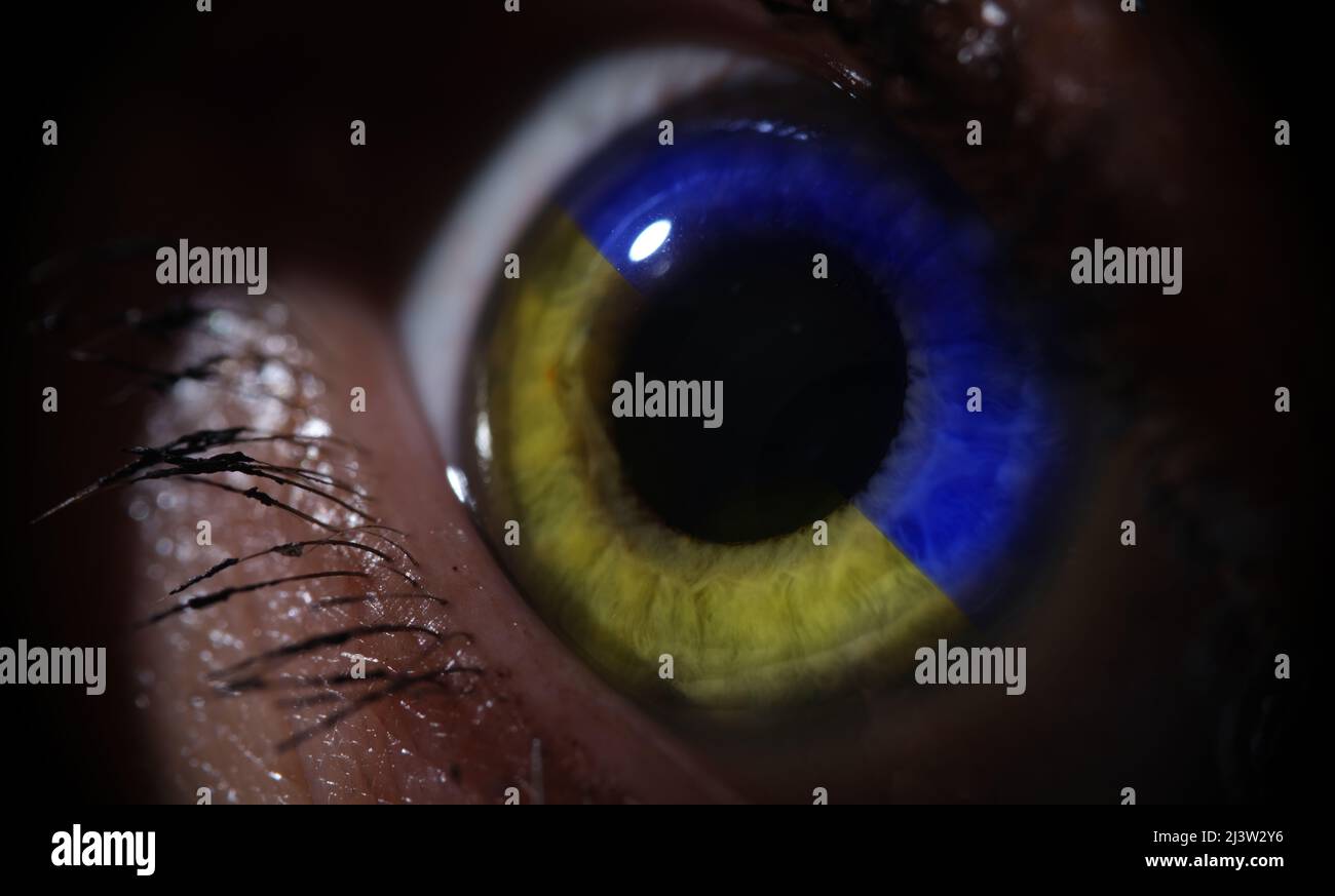 Female eye in blue and yellow iris color of Ukraine flag closeup Stock ...