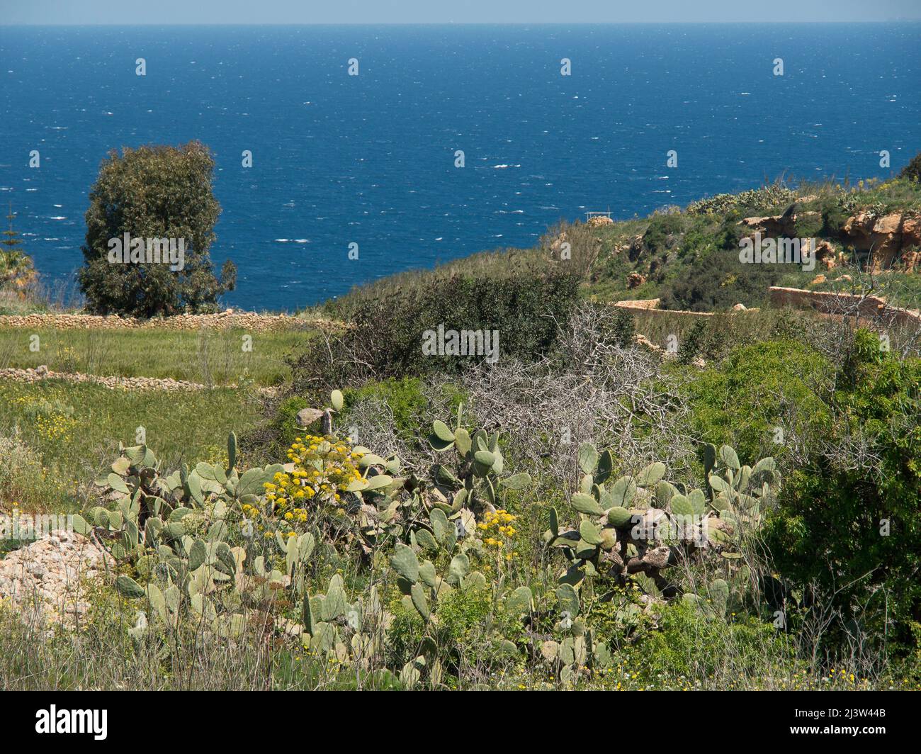 Gozo island in the mediterraneana sea Stock Photo - Alamy