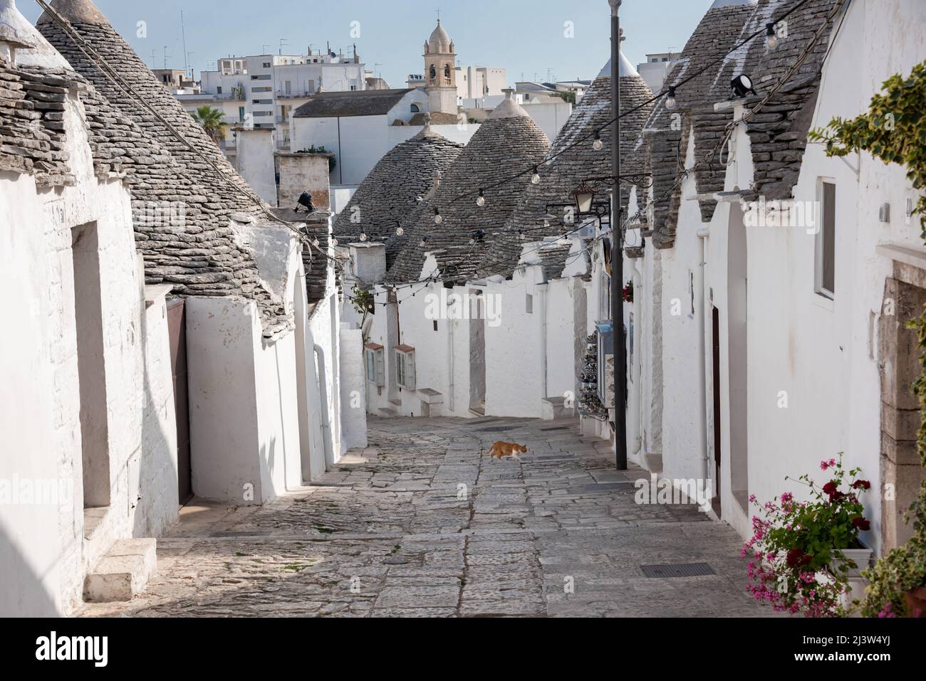 Alberobello town in Italy, famous for its traditional trullo houses ...