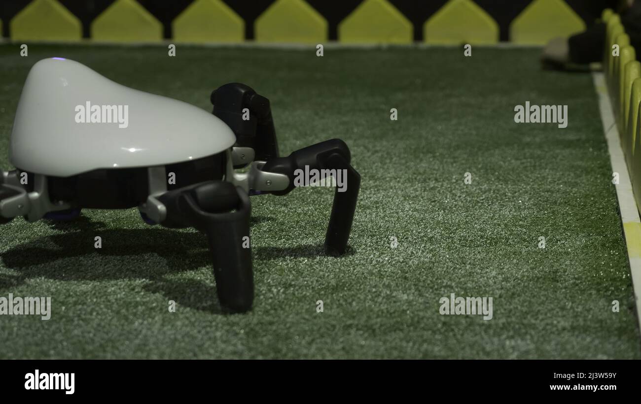 Insect robotics hi-res stock photography and images - Alamy