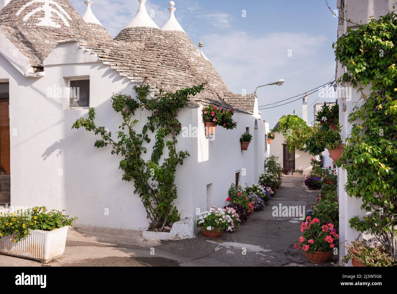 Alberobello town in Italy, famous for its traditional trullo houses ...