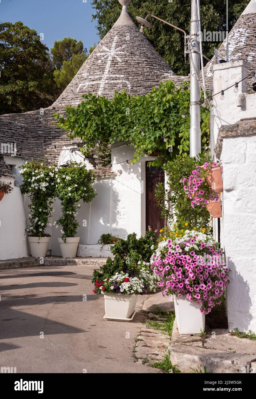 Alberobello town in Italy, famous for its traditional trullo houses ...